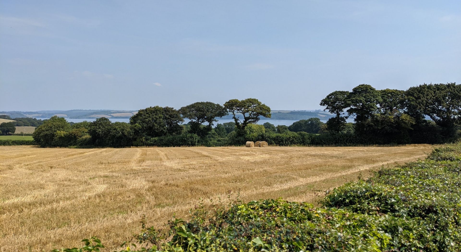 Jobs to do in August