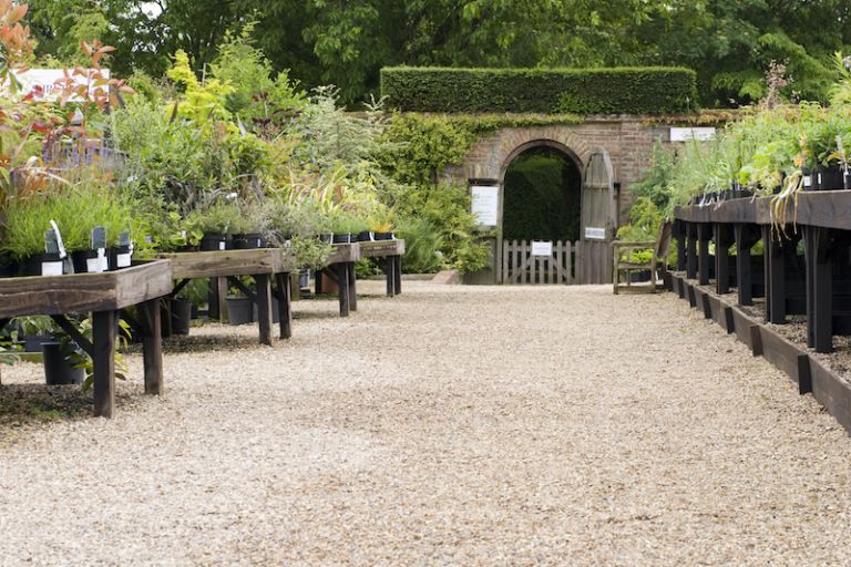 Peter Mills Gardening | Horticulturalist, Naturalist, Gardener